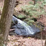 T Bagg Trail, Massachusetts - 280 Reviews, Map | AllTrails