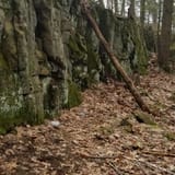 T Bagg Trail, Massachusetts - 293 Reviews, Map | AllTrails