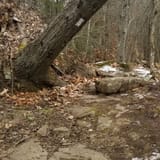 T Bagg Trail, Massachusetts - 293 Reviews, Map | AllTrails