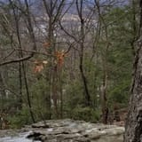 T Bagg Trail, Massachusetts - 293 Reviews, Map | AllTrails