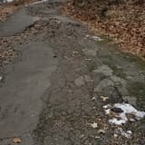 T Bagg Trail, Massachusetts - 280 Reviews, Map | AllTrails