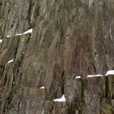 T Bagg Trail, Massachusetts - 280 Reviews, Map | AllTrails