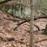 T Bagg Trail, Massachusetts - 295 Reviews, Map | AllTrails