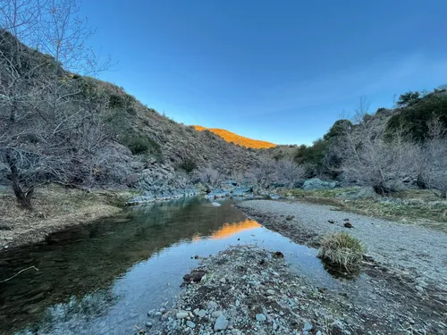 Best Walking Trails in Spur Cross Ranch Conservation Area | AllTrails