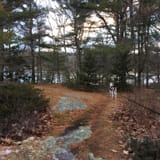 Spirit Pond Preserve, Maine - 128 Reviews, Map | AllTrails