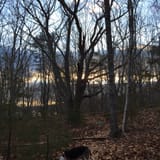 Spirit Pond Preserve, Maine - 128 Reviews, Map | AllTrails