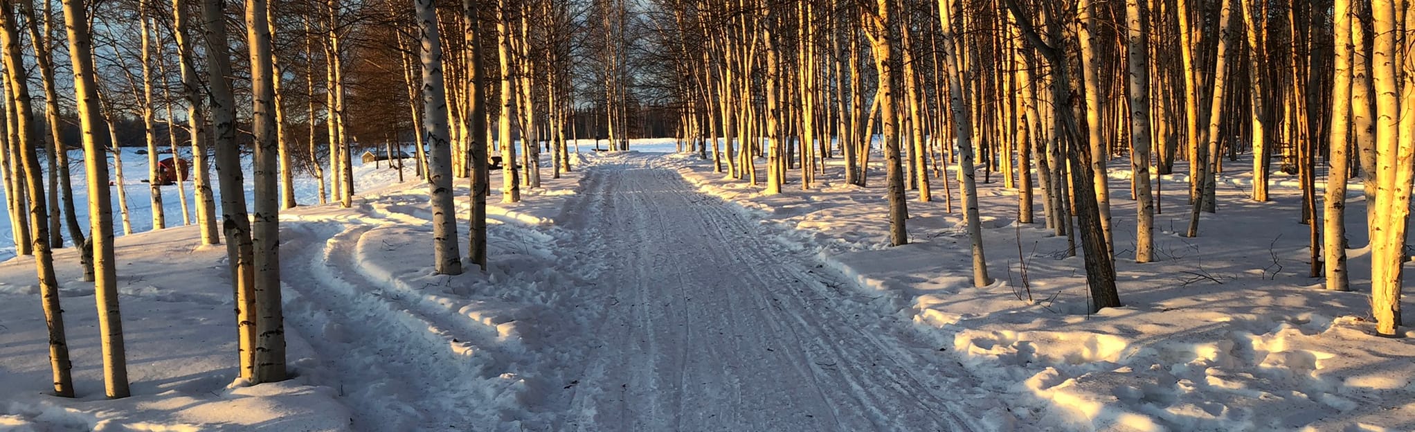 Chena Lake Bike Trail: 8 Reviews, Map - Alaska | AllTrails