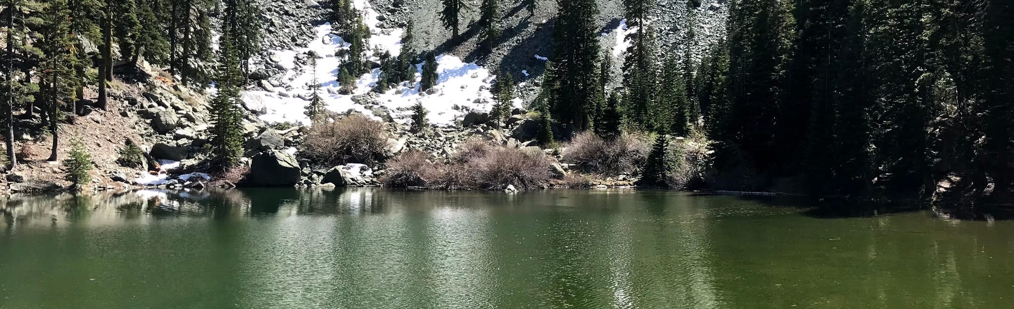 North Yolla Bolly Lake Trail, California - 14 Reviews, Map | AllTrails
