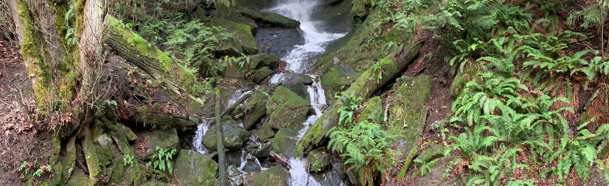 South Summit and South Lost Lake Trail Loop, Washington - 191 Reviews ...