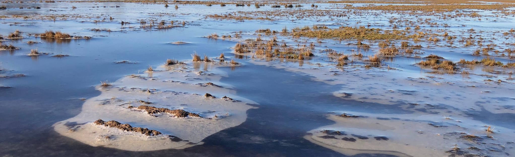 Nyord By - Nyord Strandenge, Region Zealand, Denmark - 22 Reviews, Map ...