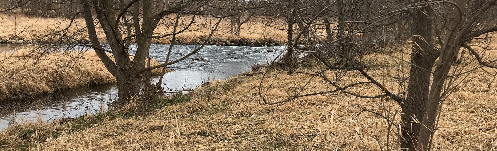 Mound Trail, Wisconsin - 59 Reviews, Map | AllTrails