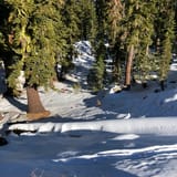Becker Peak Trail, California - 125 Reviews, Map | AllTrails