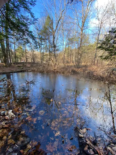 Best Hikes and Trails in Hackett Hill Park | AllTrails