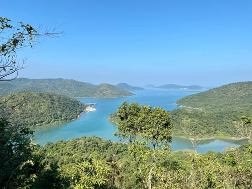 2023 Best 10 Trails, Walks, and Paths in Pak Tam Au | AllTrails