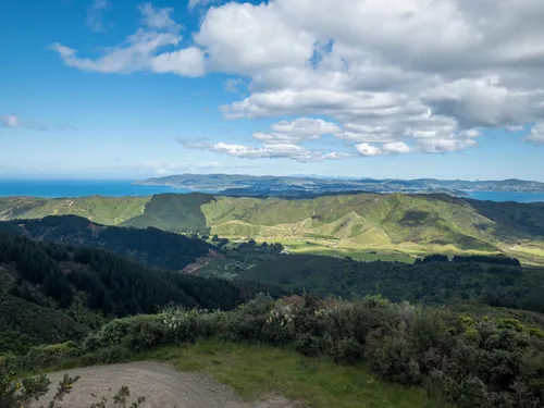 10 Best Hikes and Trails in Remutaka Forest Park | AllTrails