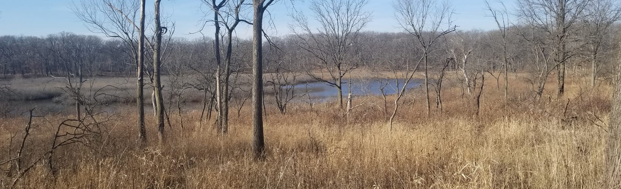 Palos Purple, Tan, Yellow Trails Loop: 193 Reviews, Map - Illinois ...