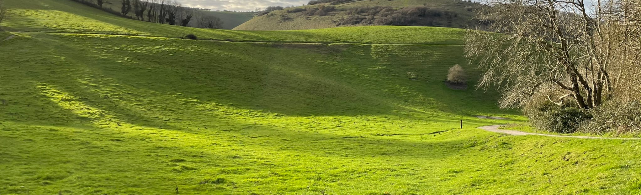 Hassocks, Devils Dkye, and Wolstonbury Hill circular, West Sussex ...
