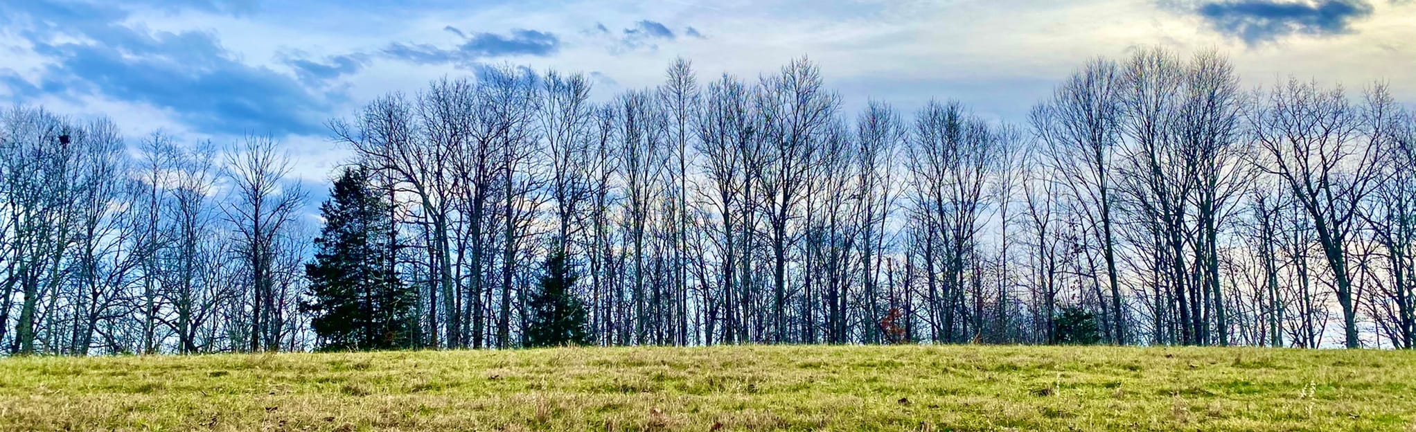 TH Crutcher Trailhead to North South Trail: 2 Reviews, Map - Tennessee ...