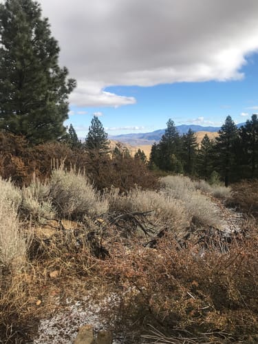 Best Hikes and Trails in Carson City Open Space | AllTrails