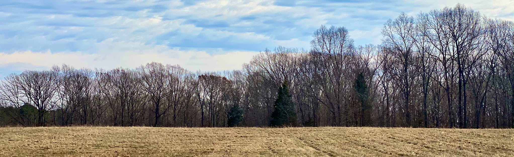 Tennessee Ridge Trail Hwy 79 Access, Tennessee - 10 Reviews, Map ...