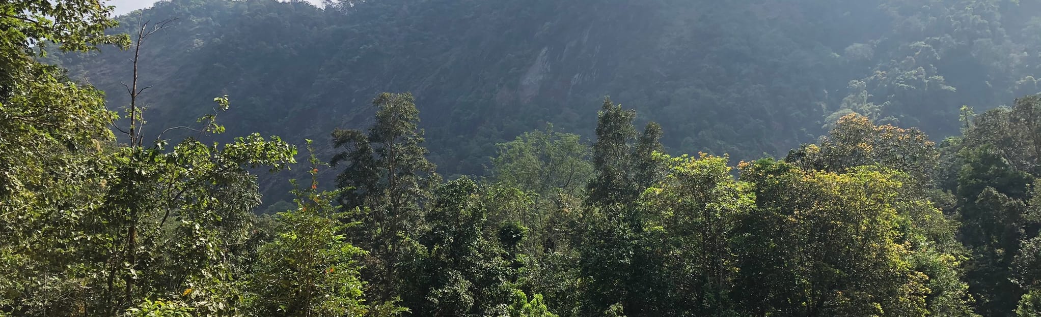 Kudlu Theertha Falls, Karnataka, India - 4 Reviews, Map | AllTrails