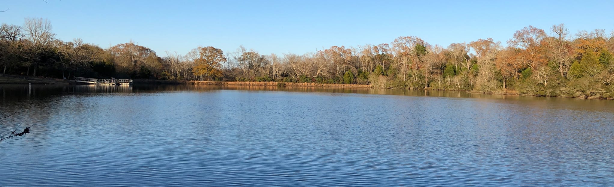 Fort Boggy Lake and Tunnel Loop: 69 Reviews, Map - Texas | AllTrails