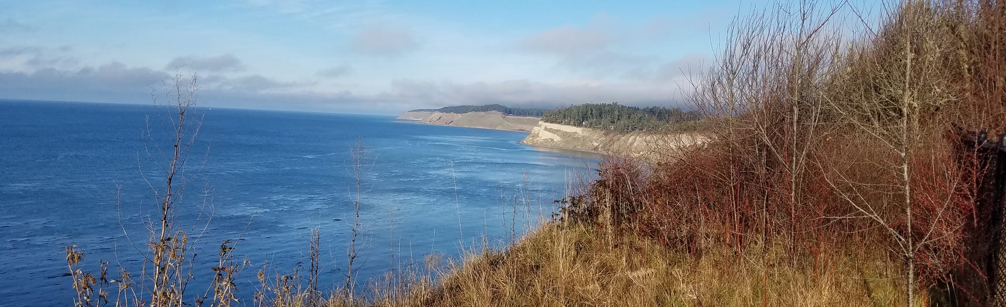 Admiralty Inlet Trail Loop: 58 Reviews, Map - Washington | AllTrails