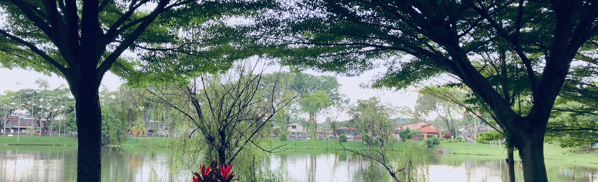 Sri Serdang Lake, Selangor, Malaysia - 4 Reviews, Map | AllTrails