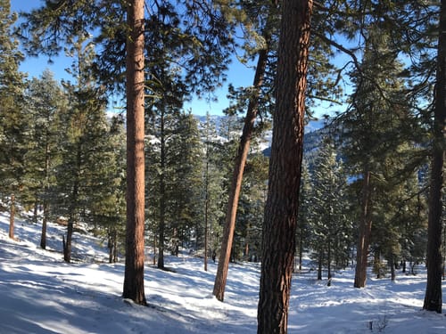 Best Hikes and Trails in Fort Okanogan State Park | AllTrails