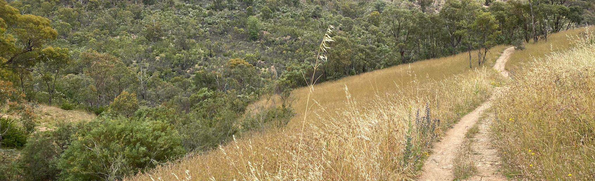 Kambah Pool Murrumbidgee Explorer: 15 Reviews, Map - Australian Capital ...