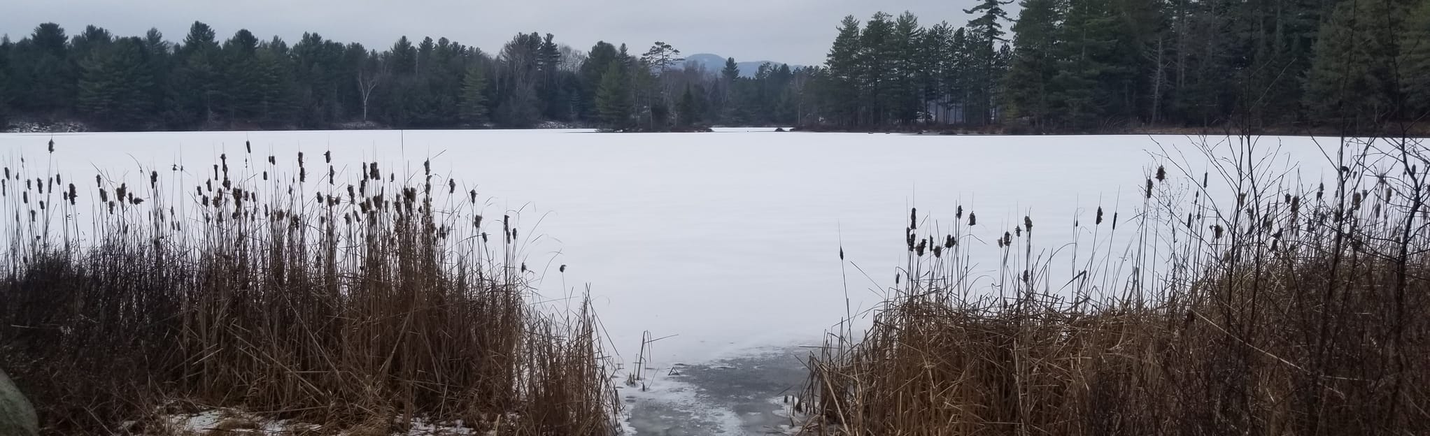 Long Lake Nature Trail: 21 Reviews, Map - New York | AllTrails