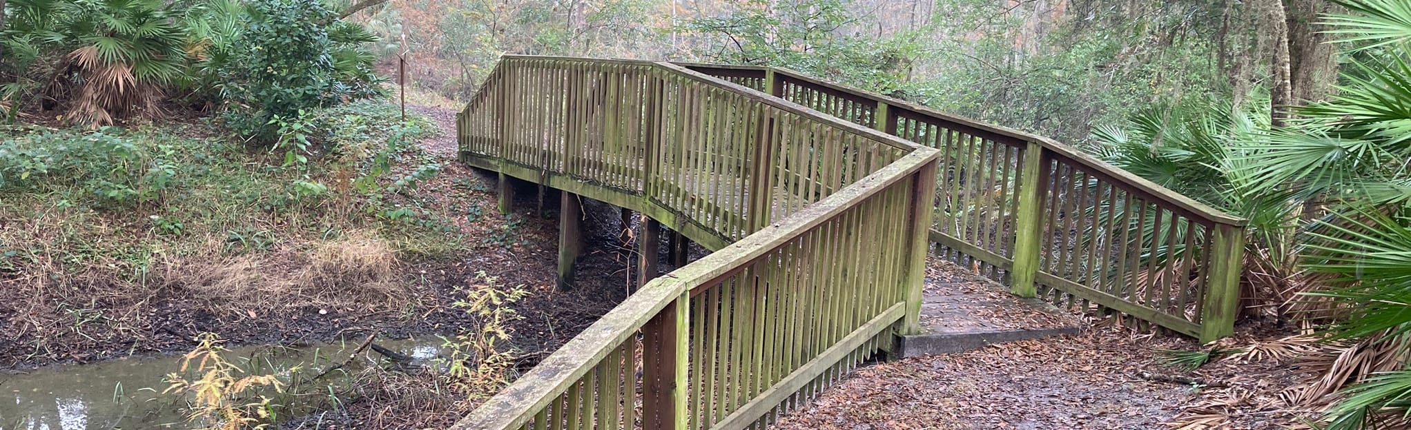 PEAR Park Loop, Florida - 360 Reviews, Map | AllTrails