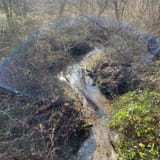 Arc Corner Monument Loop, Delaware - 130 Reviews, Map | AllTrails