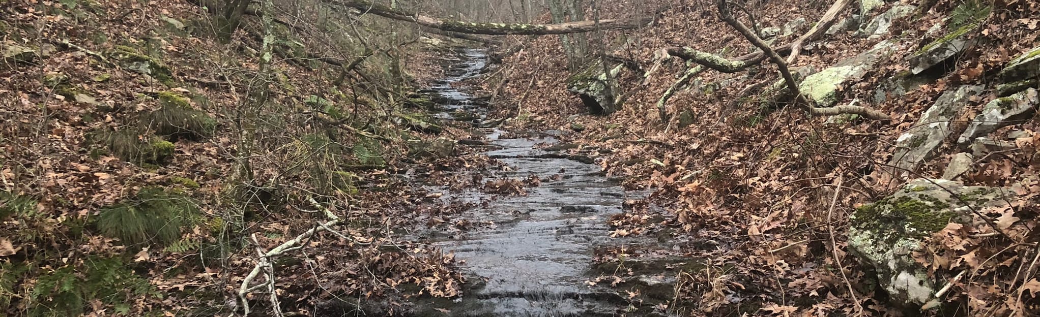 Mount Magazine Falls: 74 Reviews, Map - Arkansas | AllTrails