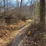 Arc Corner Monument Loop, Delaware - 132 Reviews, Map | AllTrails