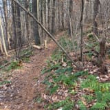Arc Corner Monument Loop, Delaware - 189 Reviews, Map | AllTrails