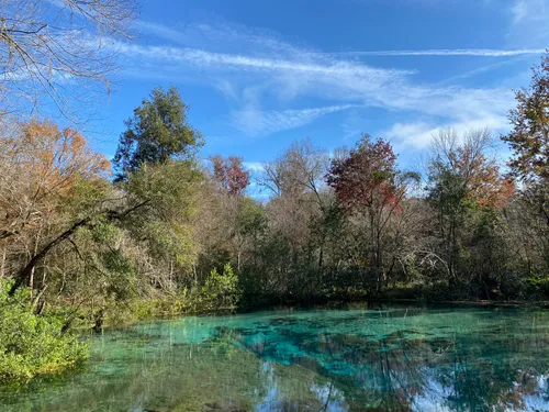 Best Hikes and Trails in Ichetucknee Springs State Park | AllTrails