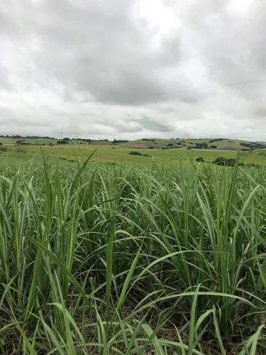 10 Best Trails and Hikes in Ballito | AllTrails