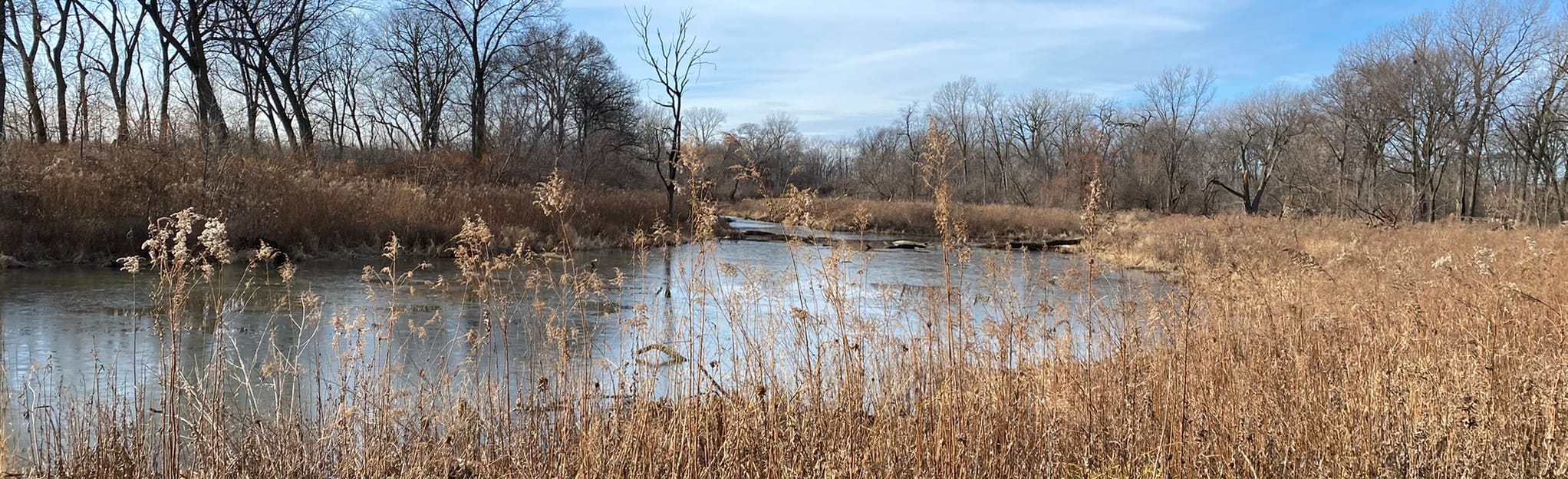 Salt Creek Greenway (Black Unpaved Loop), Illinois - 123 Reviews, Map ...