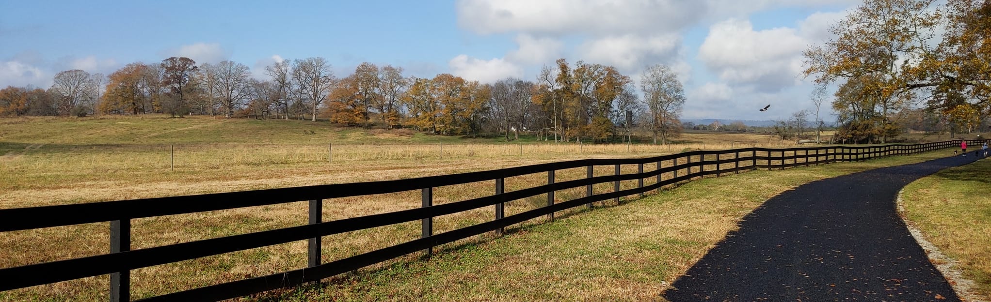 Mount Berry Trail, Georgia - 205 Reviews, Map | AllTrails