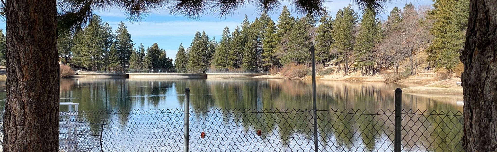 Green Valley Lake Shoreline, California - 43 Reviews, Map | AllTrails