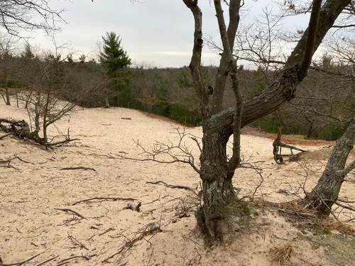 Best Hikes and Trails in Muskegon State Park | AllTrails