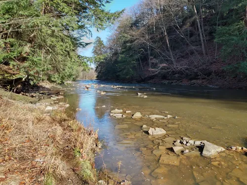 10 Best Hikes and Trails in South Chagrin Reservation | AllTrails