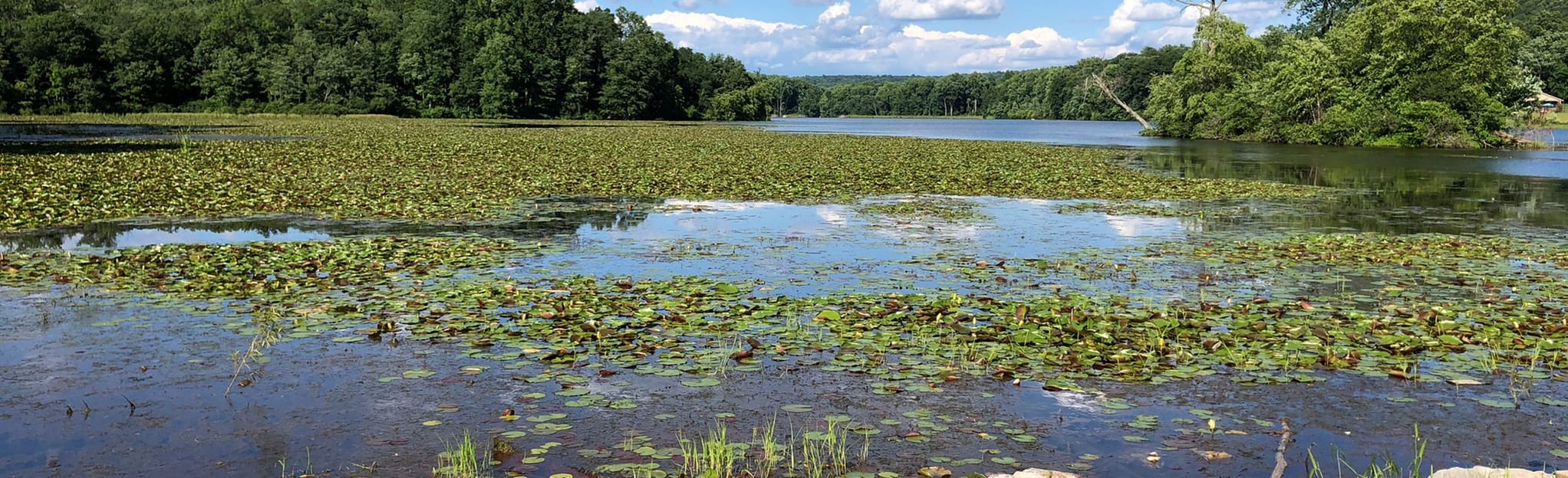 Hopewell Lake to Scott’s Run Lake to Six Penny Loop: 1.263 foto's ...