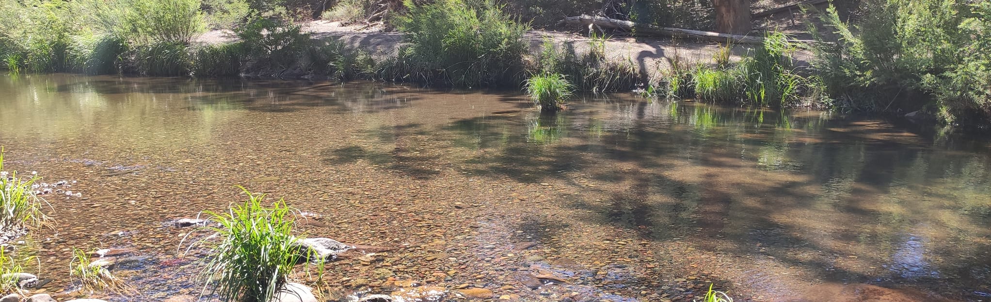 Lake Tali Karng via Wellington River and Clive Lanigan - Victoria ...