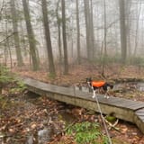 Kay Bee Trail, Massachusetts - 277 Reviews, Map | AllTrails