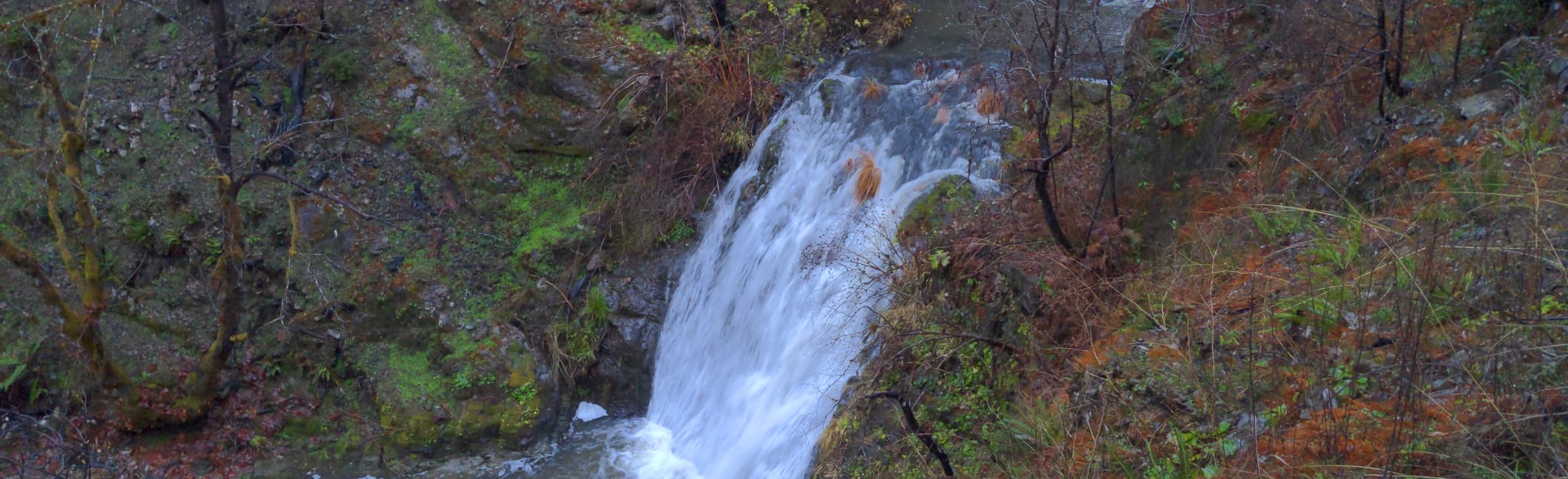 Taylor Creek Trail, Oregon - 85 Reviews, Map | AllTrails