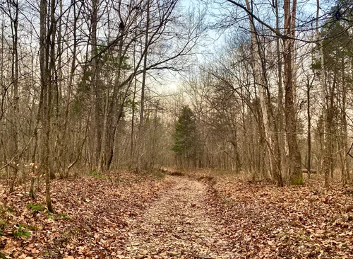 Best 10 Hiking Trails in Land Between the Lakes National Recreation ...