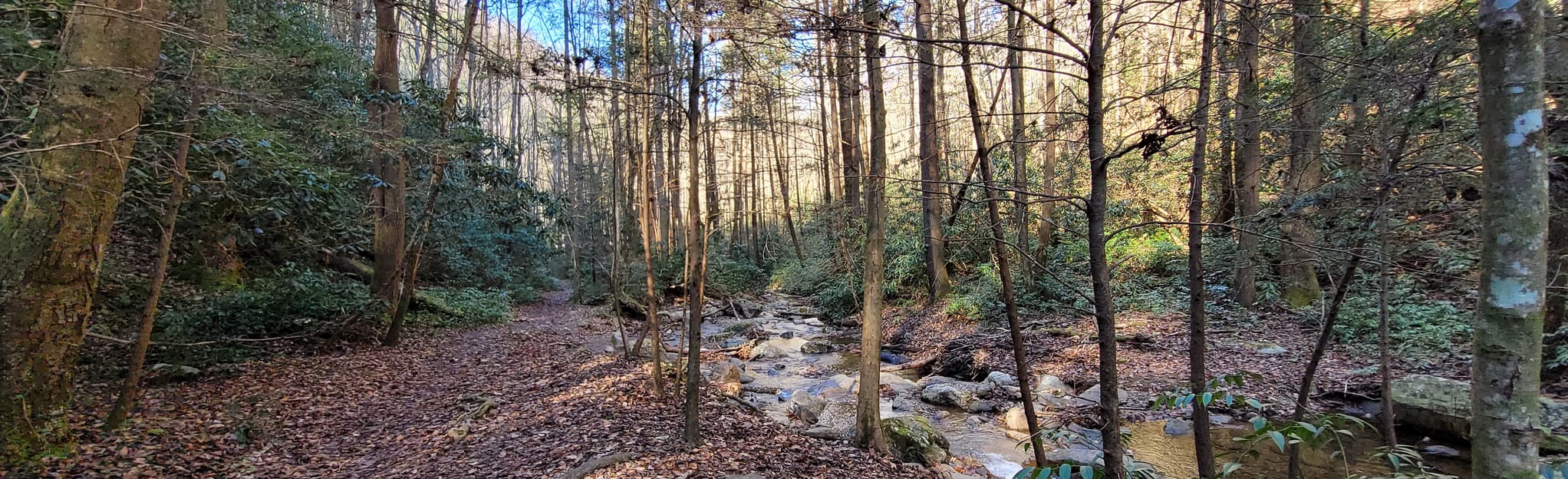 Sill Branch Falls: 597 Reviews, Map - Tennessee | AllTrails