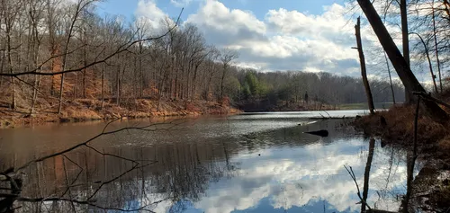 Best Hikes and Trails in Ferdinand State Forest | AllTrails